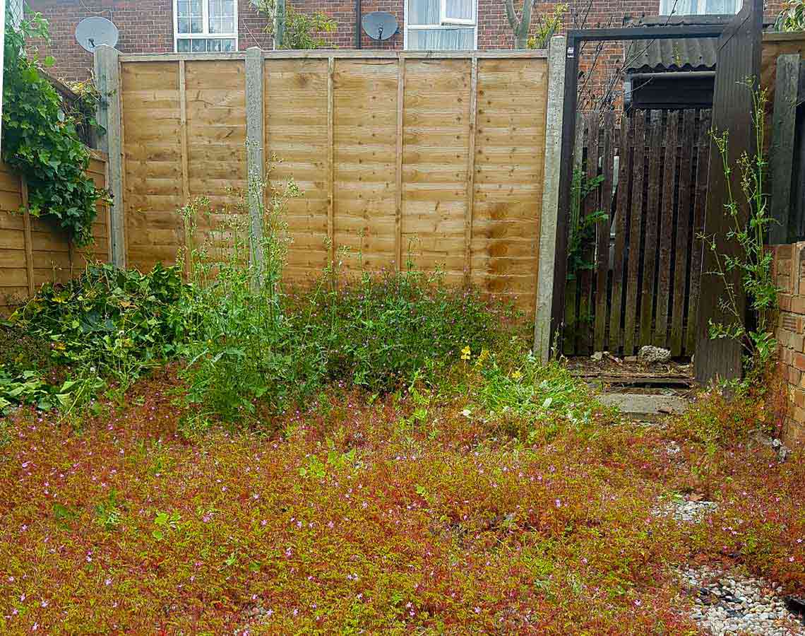 Professional Outdoor Repairs in London | Fantastic Gardeners